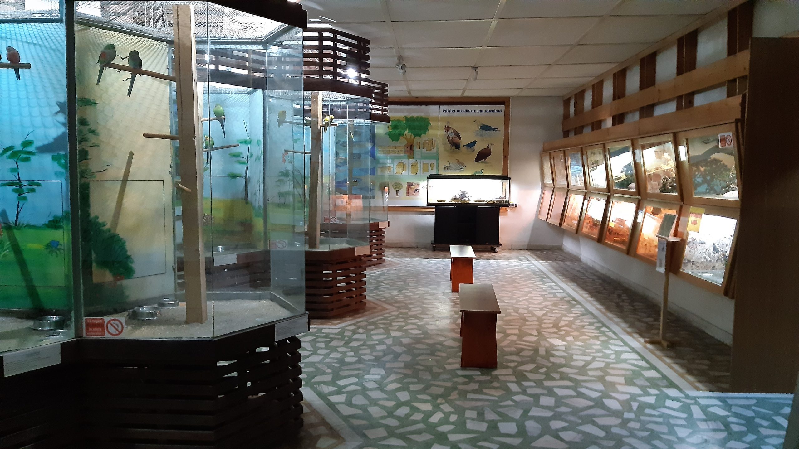 Vivariul din Bacău – Sabaoani Online